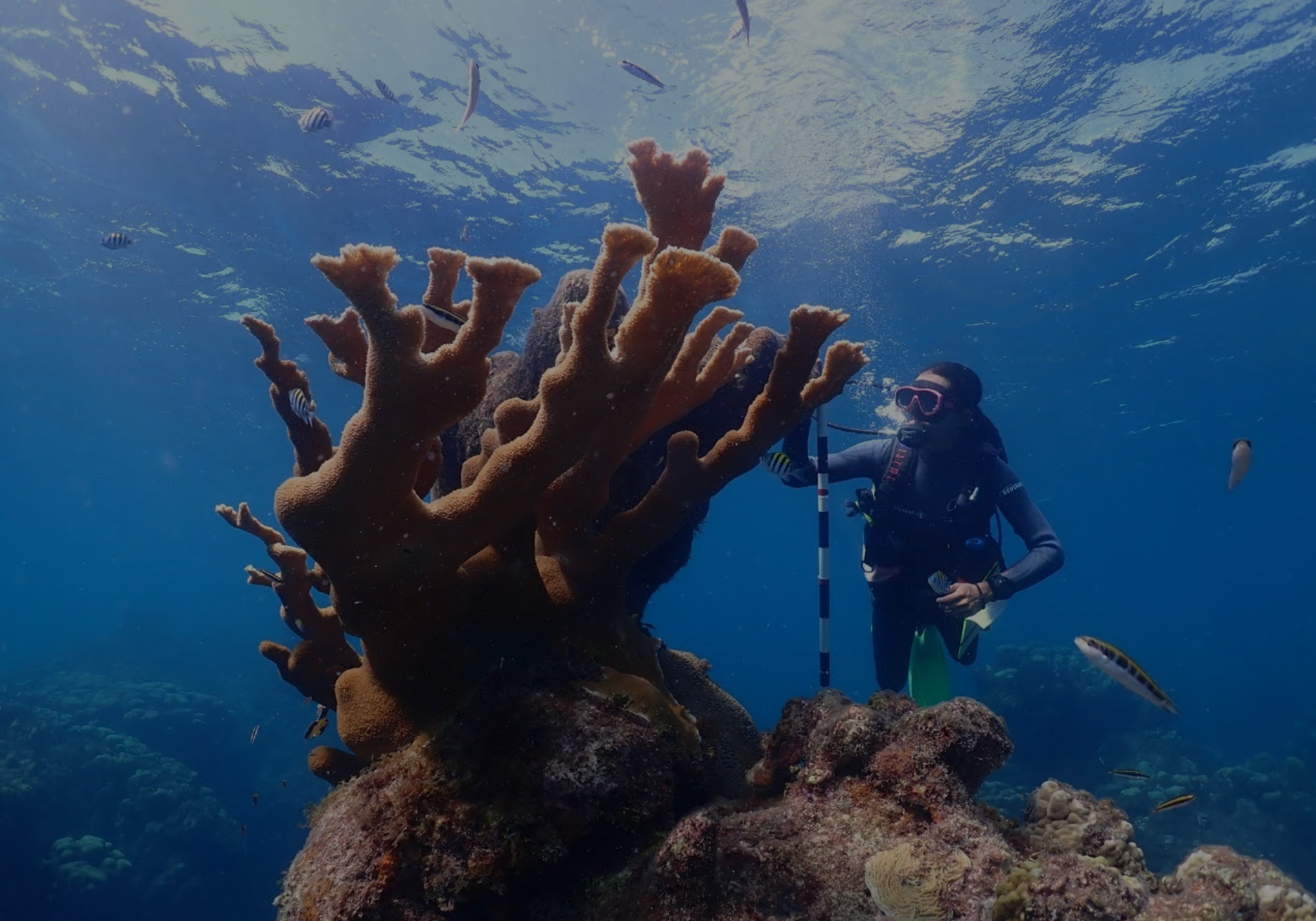 Informe FMCN 2022 – Fondo Mexicano para la Conservación de la Naturaleza, AC
