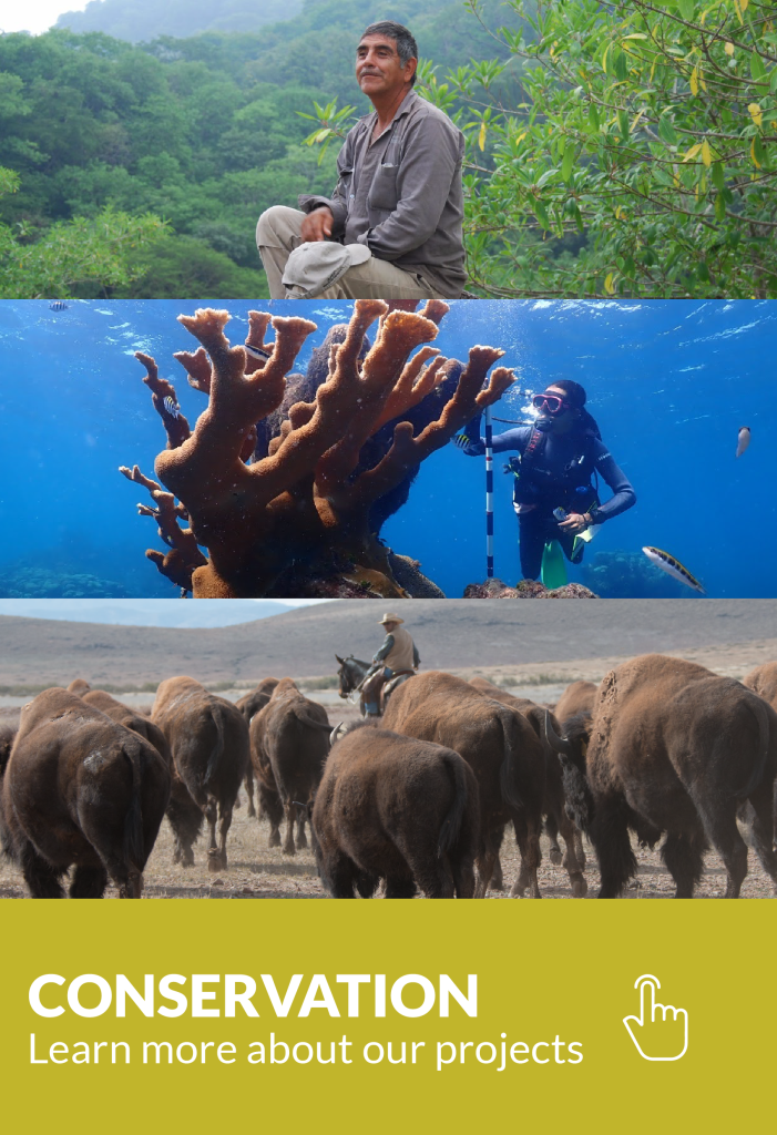 Informe FMCN 2022 – Fondo Mexicano para la Conservación de la Naturaleza, AC